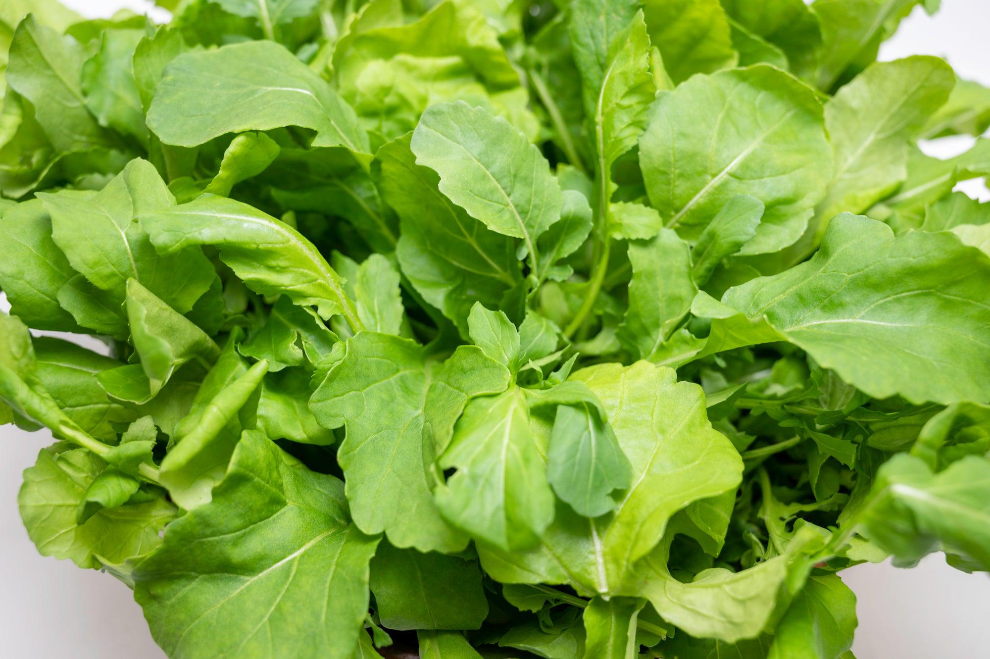 Leafy GreensBuy Leafy Greens – Future Fresh