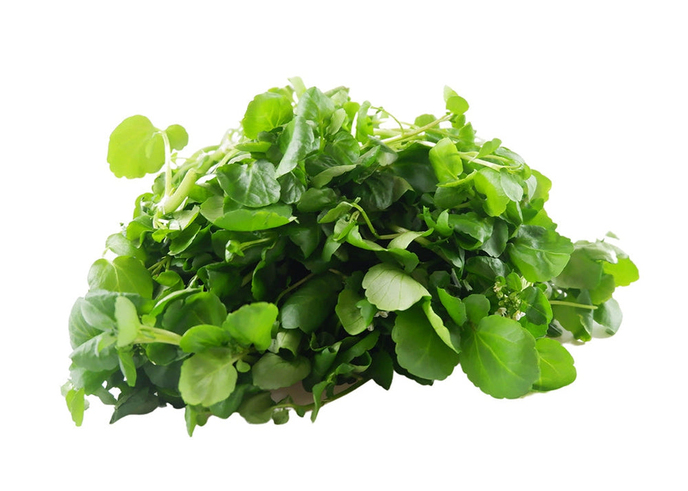 Buy Fresh Watercress – Future Fresh